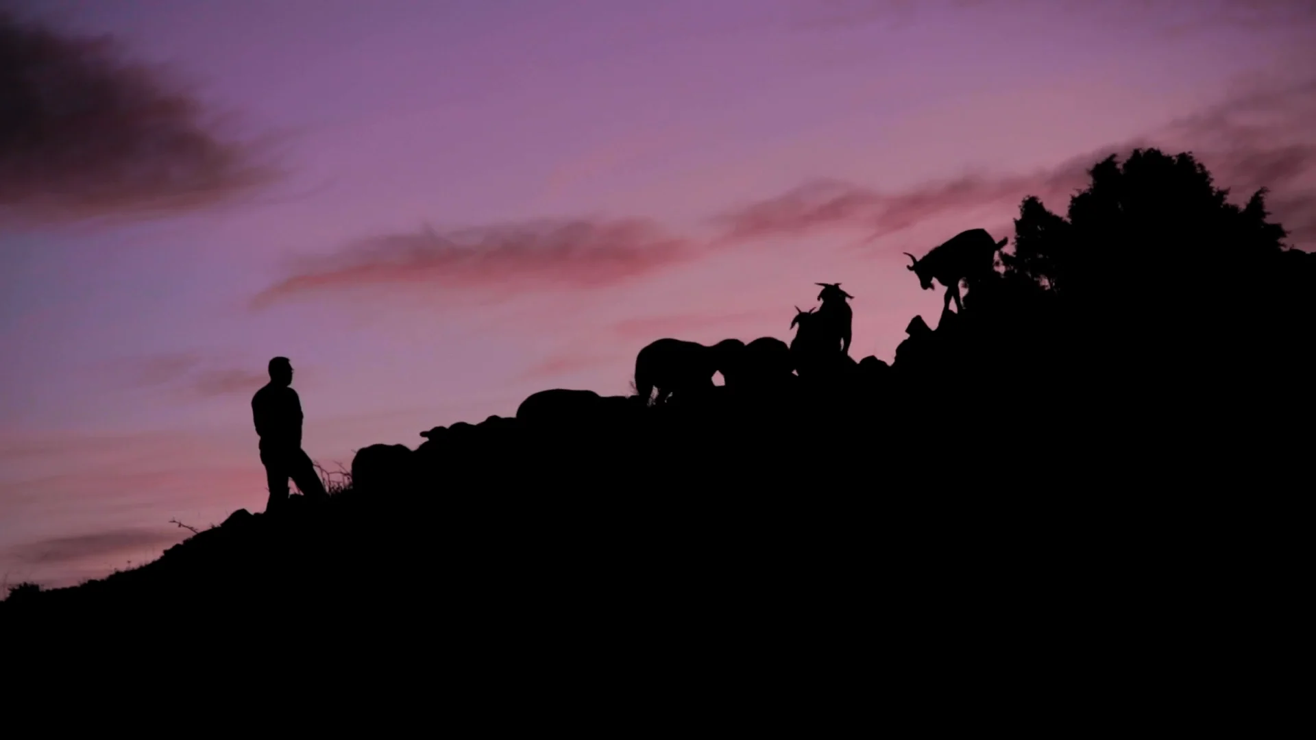 A PASO LENTO on Vimeo