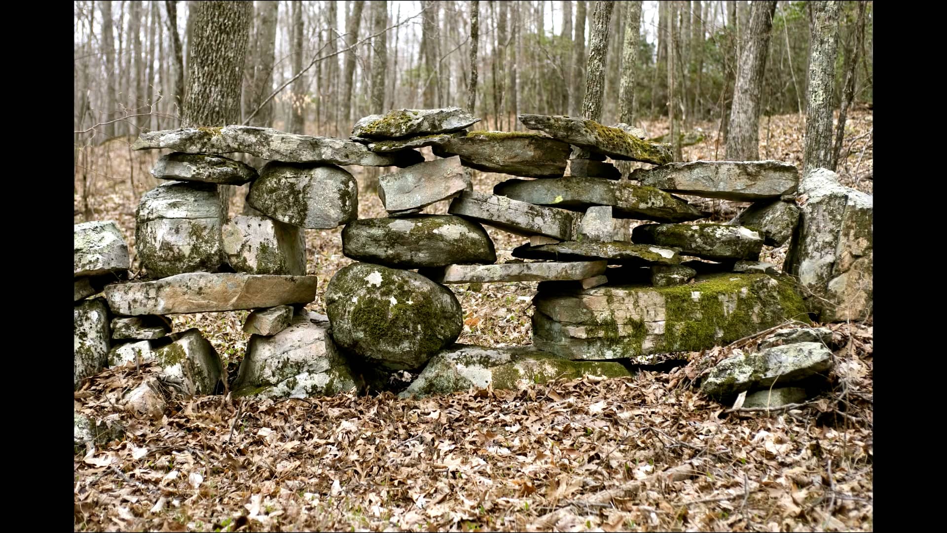 Quick overview of Native Stonewalls on Vimeo