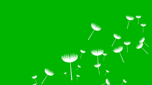 Green, Screen, Season. Free Stock Video - Pixabay