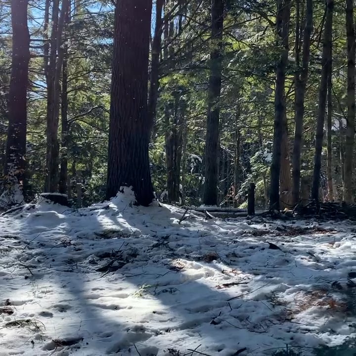 Spiraldance Breathwork Outdoor Retreat- Winter on Vimeo
