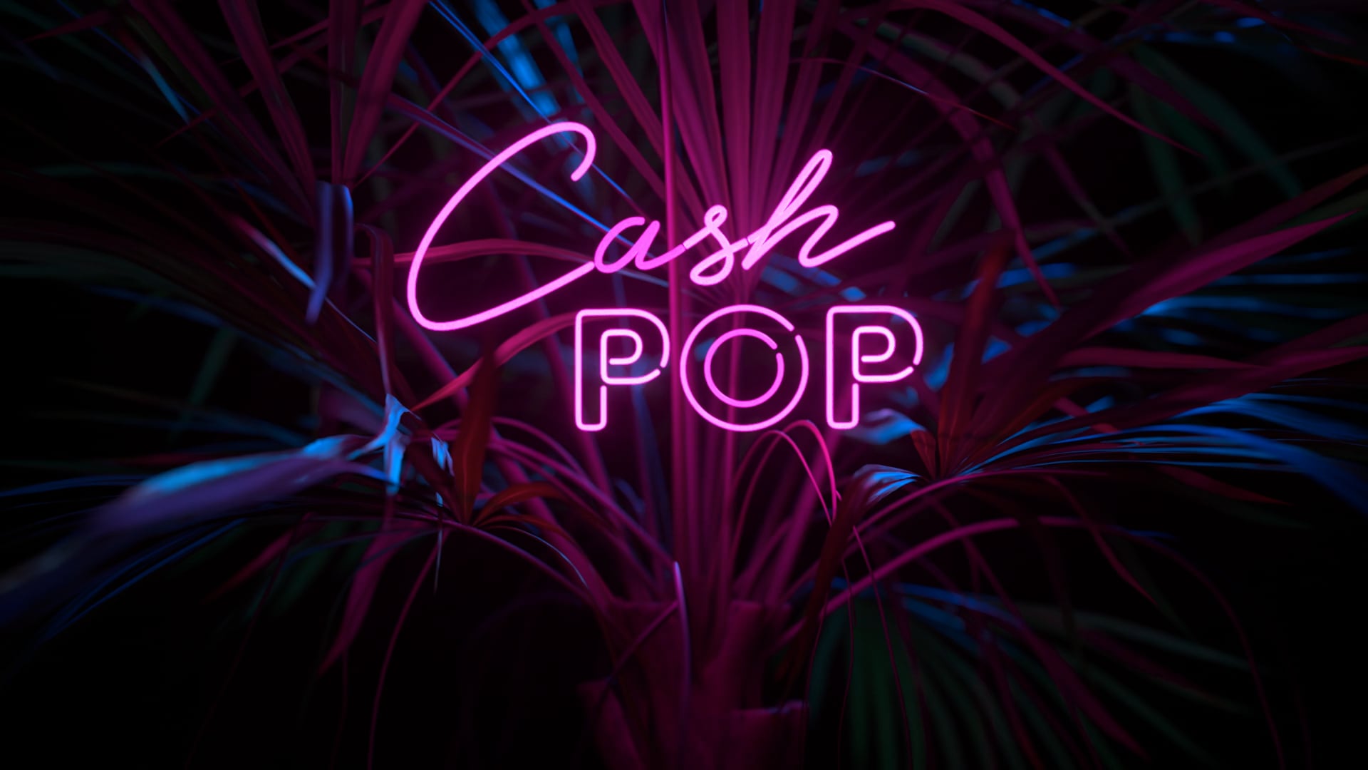 cash-pop-director-s-cut-on-vimeo