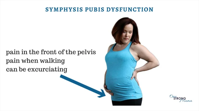Symphysis Pubis