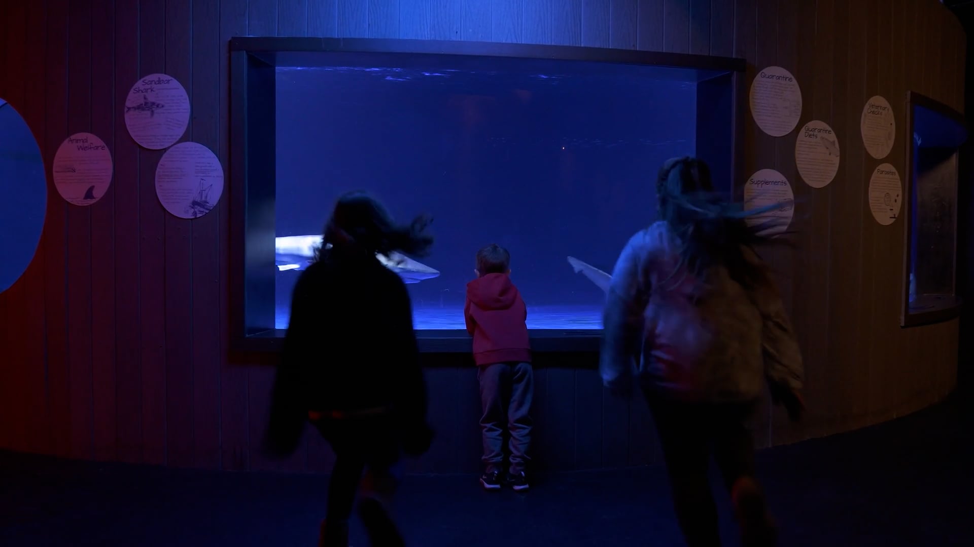 find your wonder homepage video mobile on Vimeo