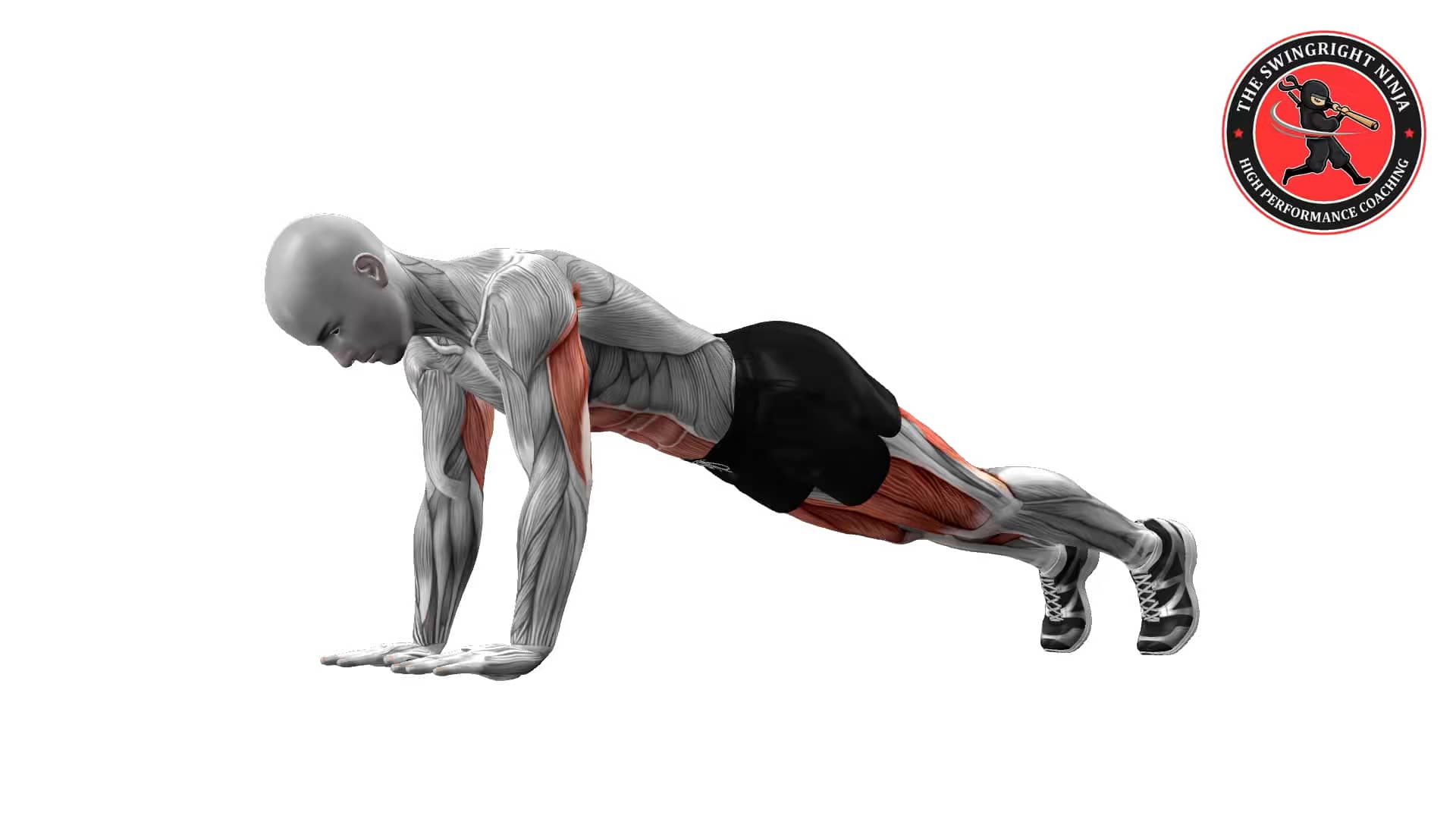 Core Exercises Plank Knee Tucks_x264 (2).mp4 on Vimeo