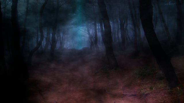 Trees Space Forest - Free video on Pixabay