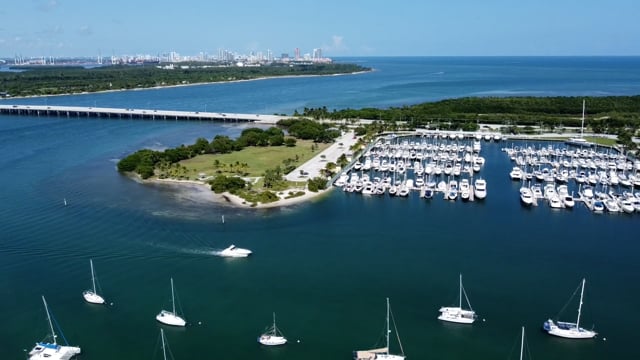 Mare Miami Marino - Free video on Pixabay - Pixabay