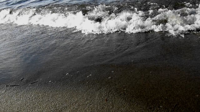 Lake, Water, Waves. Free Stock Video - Pixabay