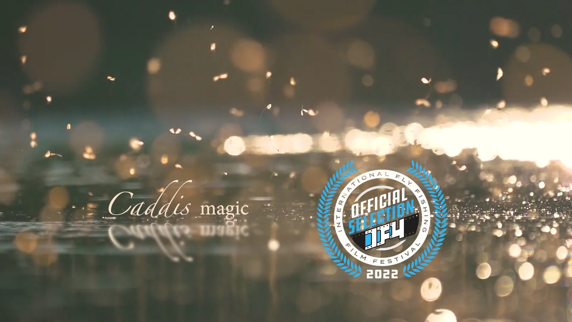 Caddis Magic (Trailer) - Official Selection, IF4™ 2022 on Vimeo