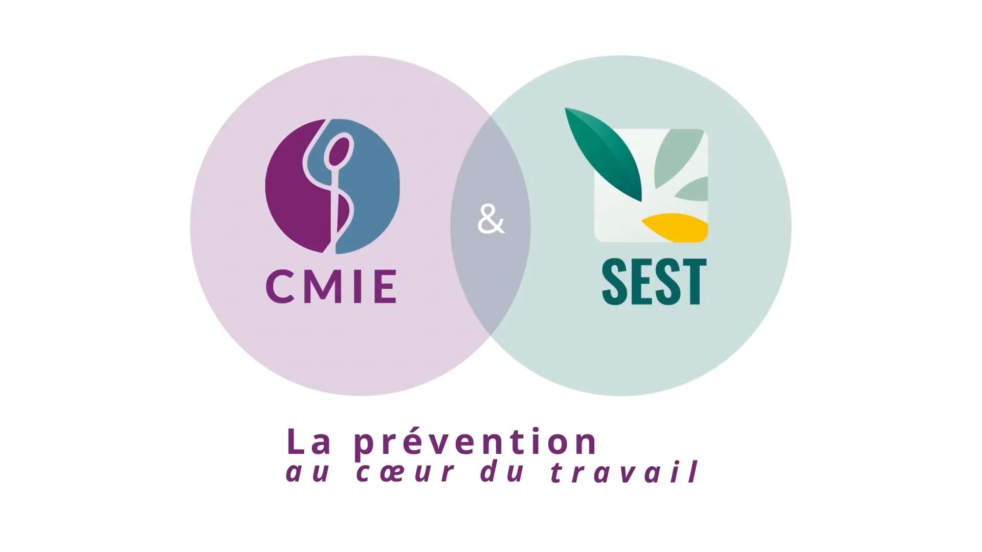 Le CMIE et le SEST ont fusionné le 1er janvier 2022 pour unir leurs ...