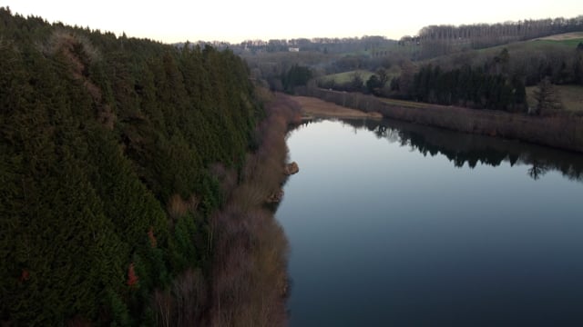 Reservoir Water Forest - Free video on Pixabay