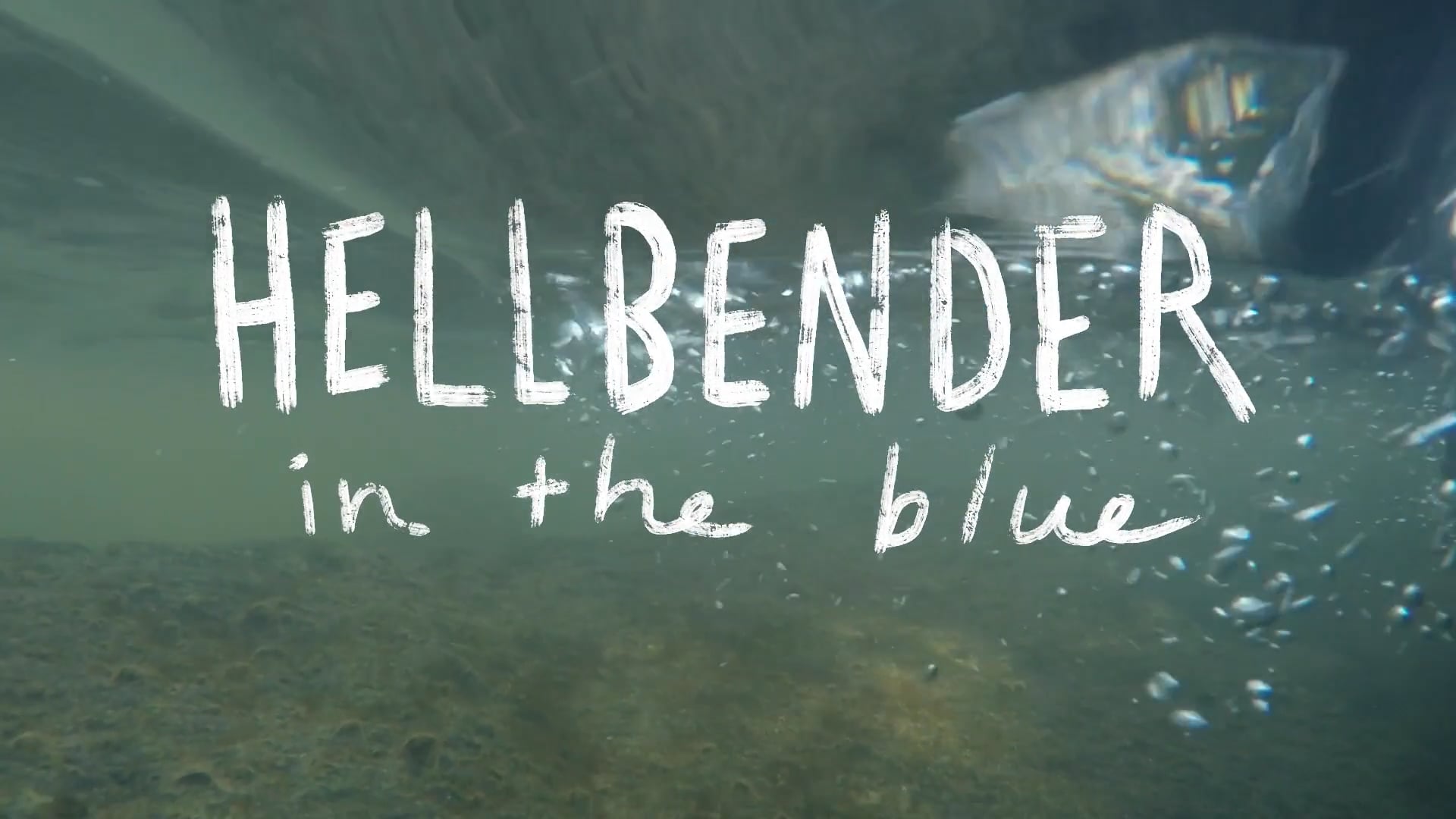 Watch Hellbender in the Blue Online | Vimeo On Demand on Vimeo