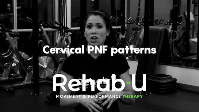 Cervical spine Archives | Rehab-U
