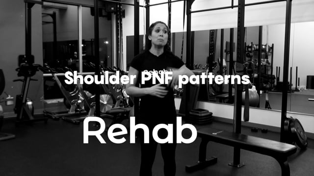 Shoulder complex Archives | Rehab-U