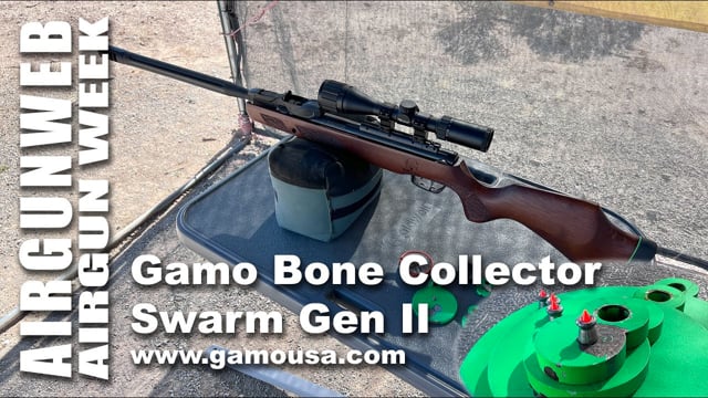 AIRGUN WEEK 2022 - Gamo Bone Collector Swarm Gen II 22 with BSA Outlook ...