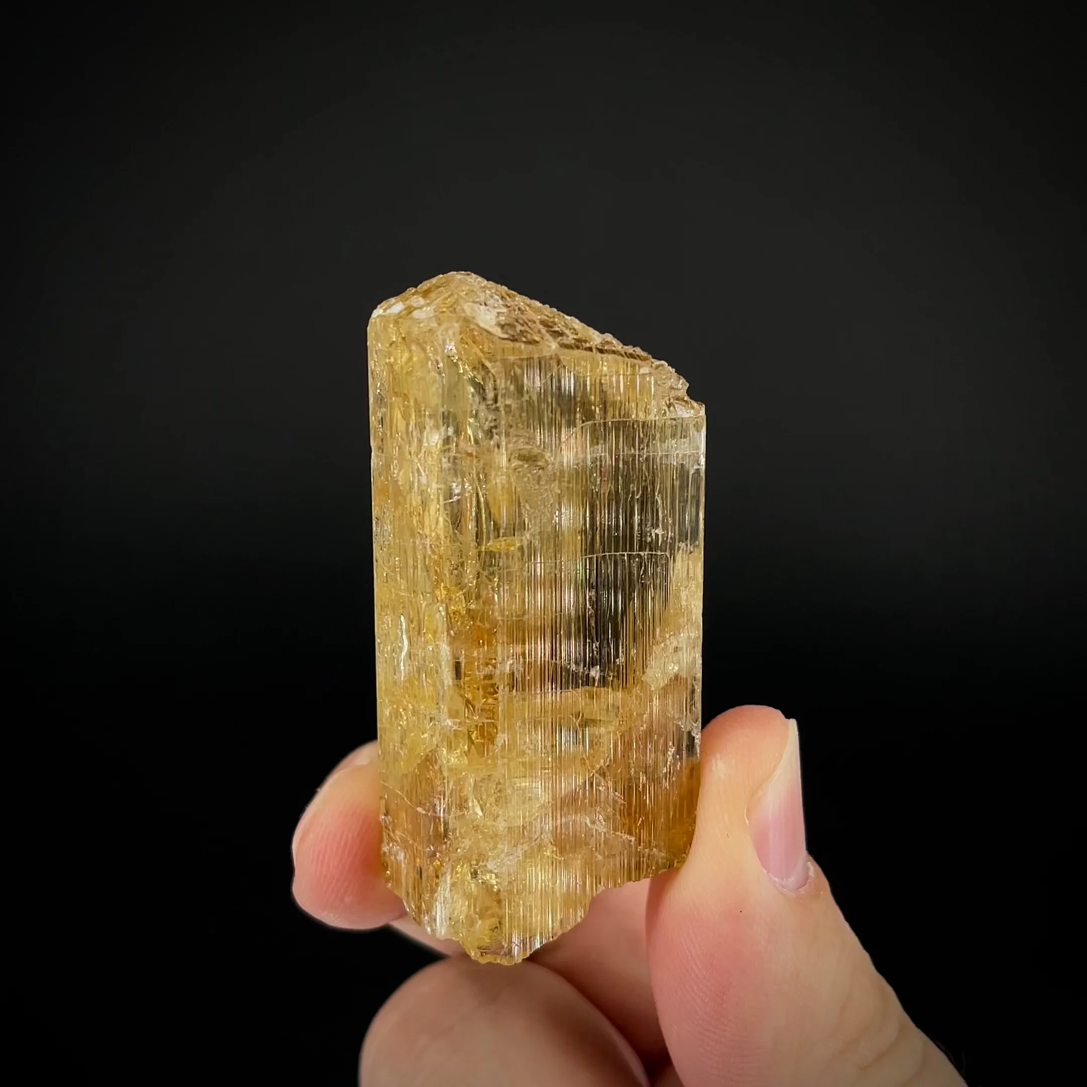 Scapolite on Vimeo