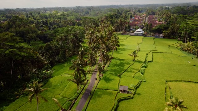 Bali, Drone, Landscape. Free Stock Video - Pixabay