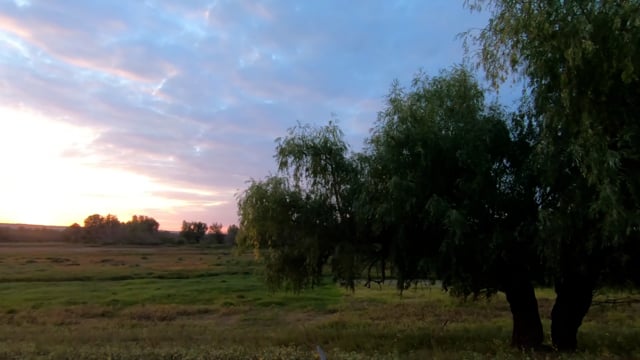 The Evening Sunset September - Free video on Pixabay