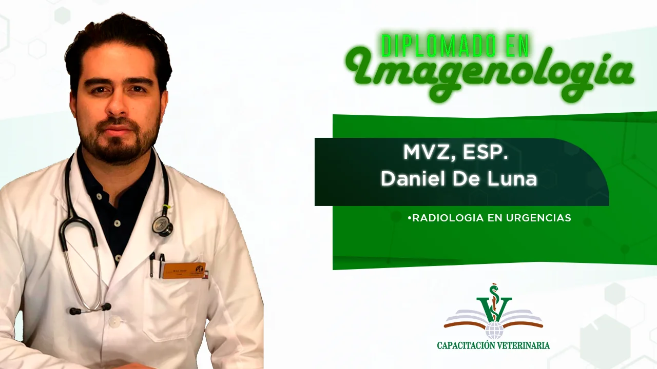 daniel de luna- urgencias en rx.mp4 on Vimeo