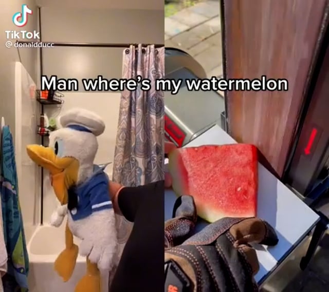 The Annoying Orange Show on Vimeo