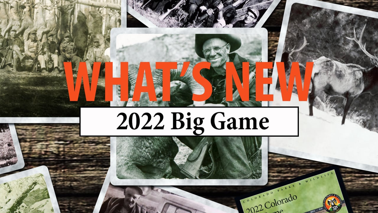 'What's New' 2022 Big Game (Revised) on Vimeo