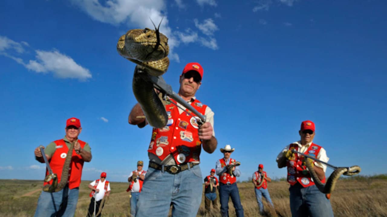 The Snake Show on Vimeo