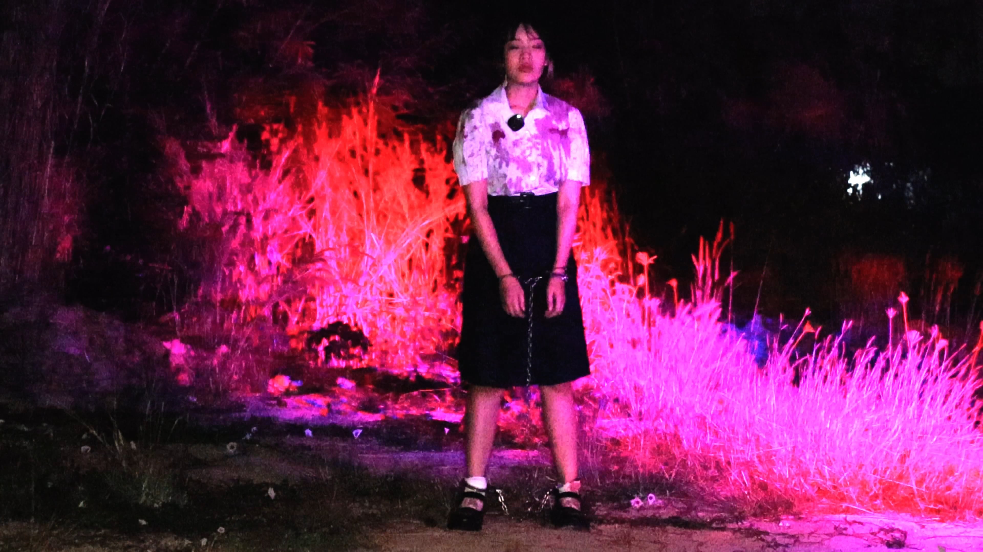 PUNG POUND : THE CUTEST MURDERER ARRESTED PART 2 on Vimeo