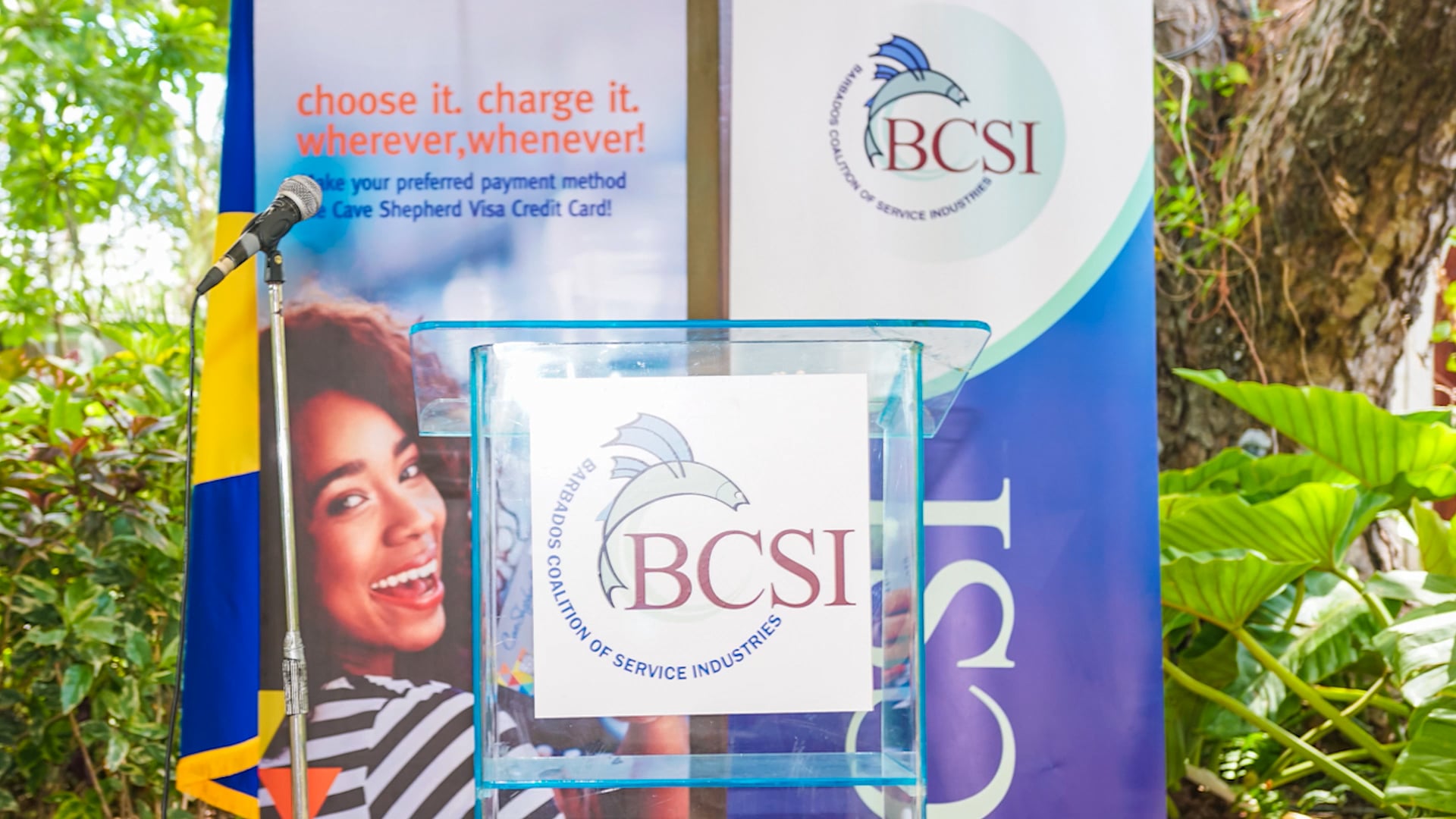 BCSI Infomercial on Vimeo