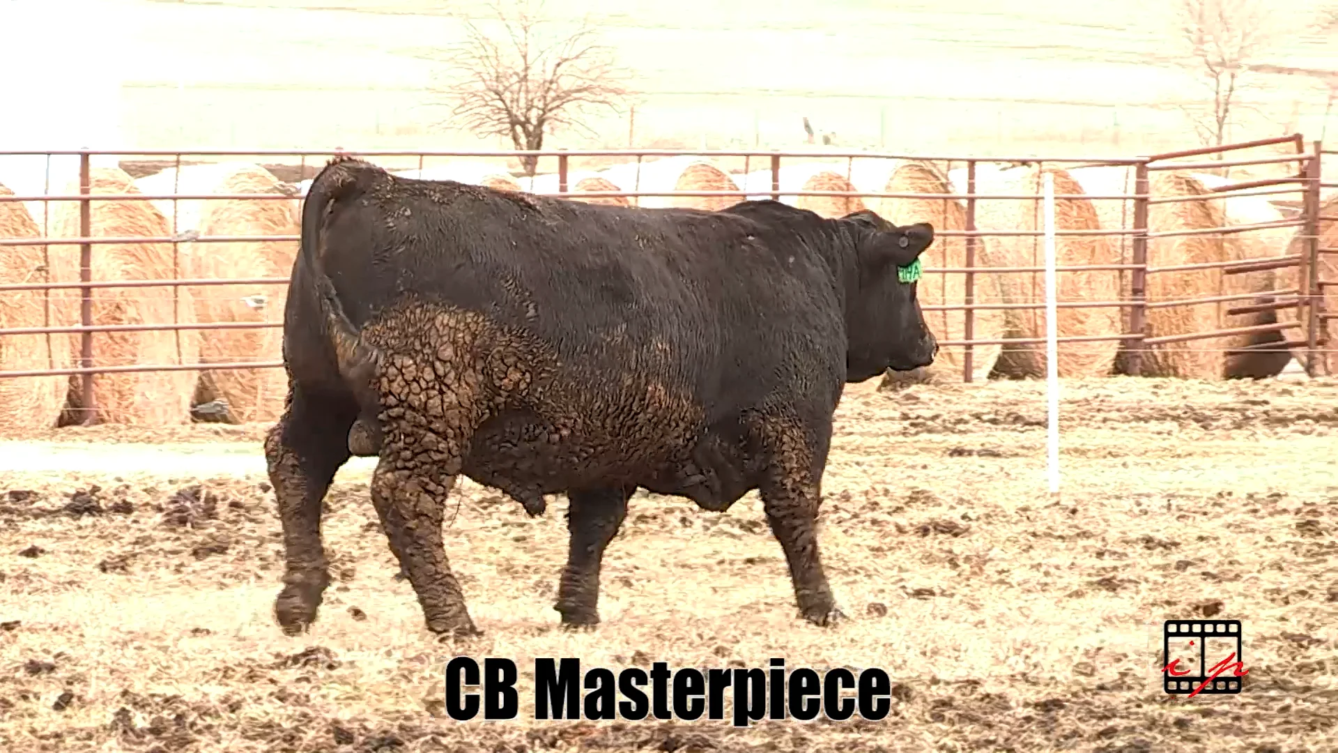 CB Masterpiece.mp4 on Vimeo