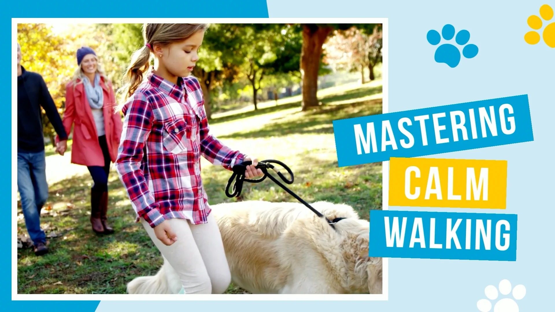Mastering Calm Walking