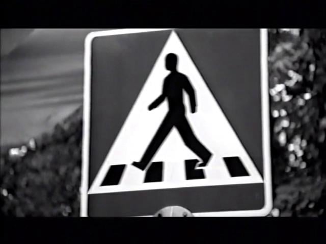 Zebra morphing animation (commercial, 1999) on Vimeo