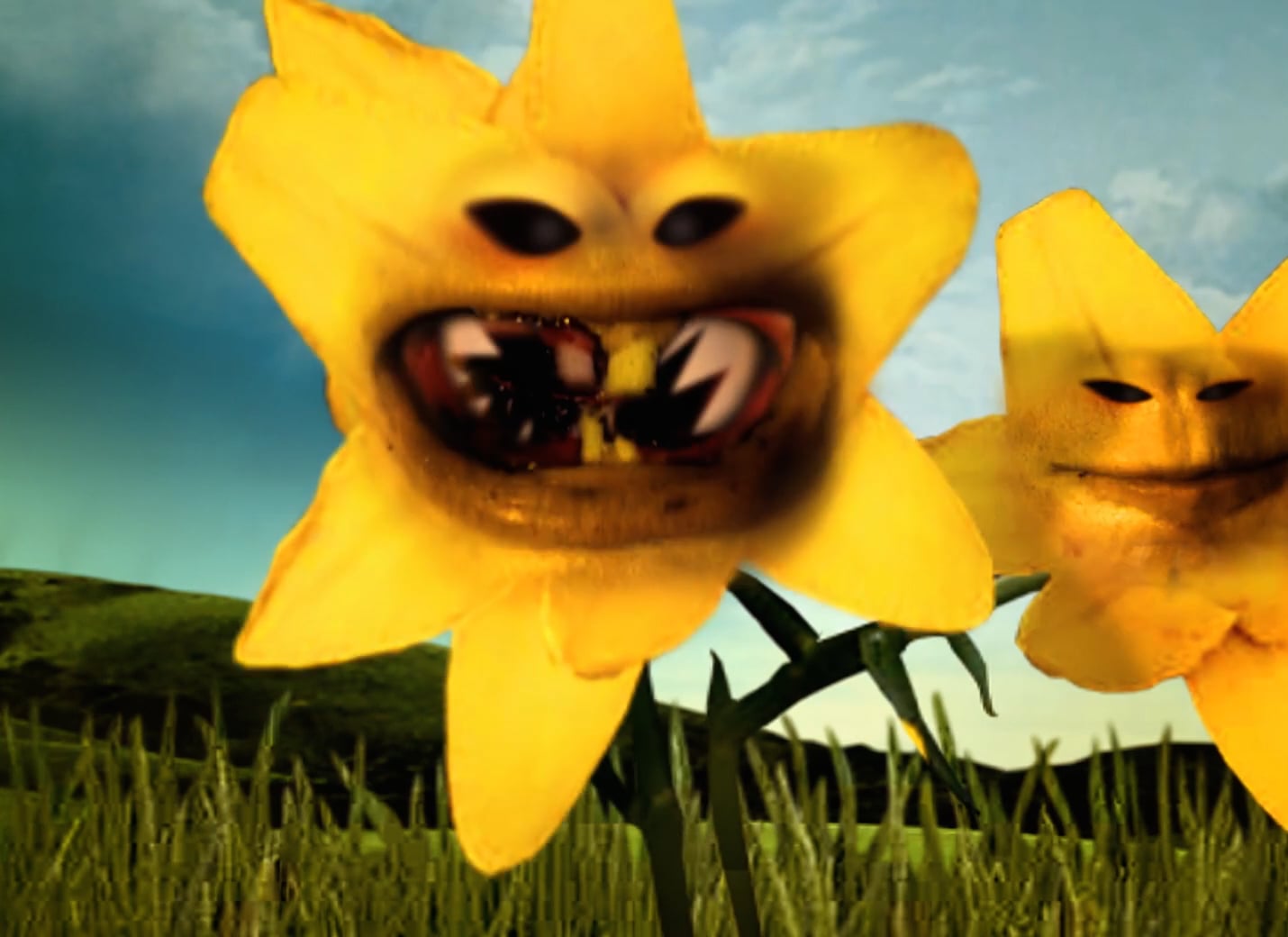 MTV - Evil Flowers on Vimeo