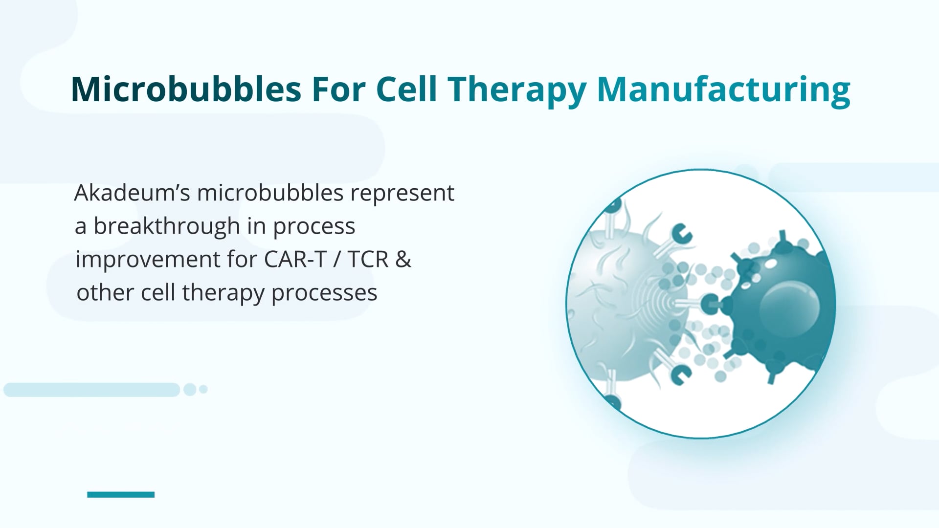Microbubbles for Cell Therapy Manufacturing on Vimeo