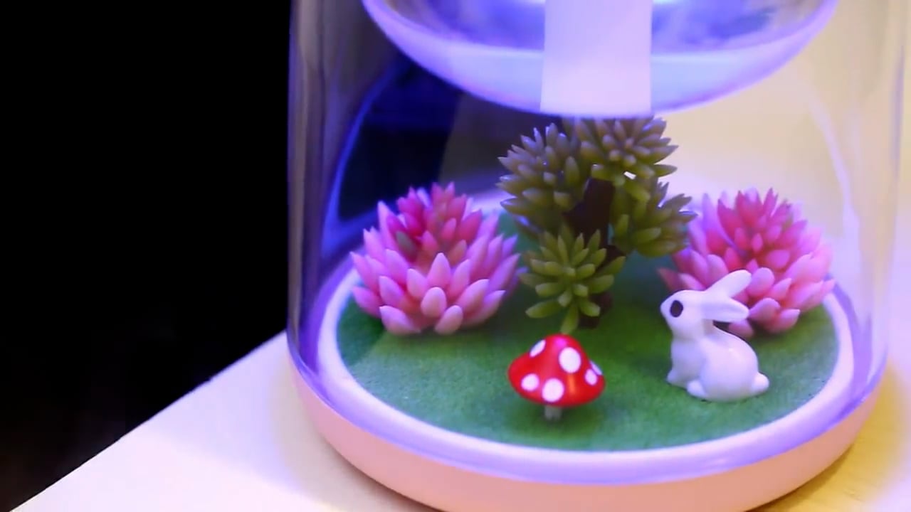 Micro Landscape Humidifier 3* on Vimeo