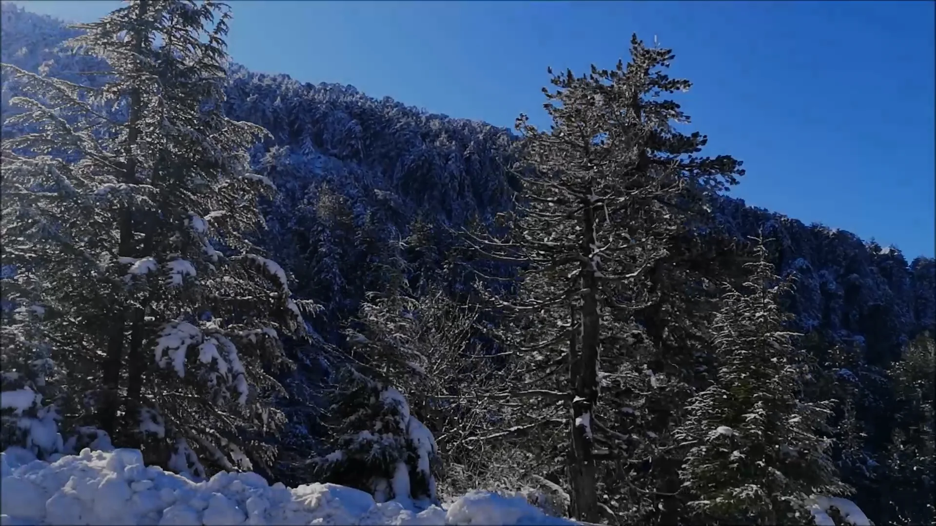 24-12-2021 Cyprus troodos mountains snow winter weather drive on Vimeo