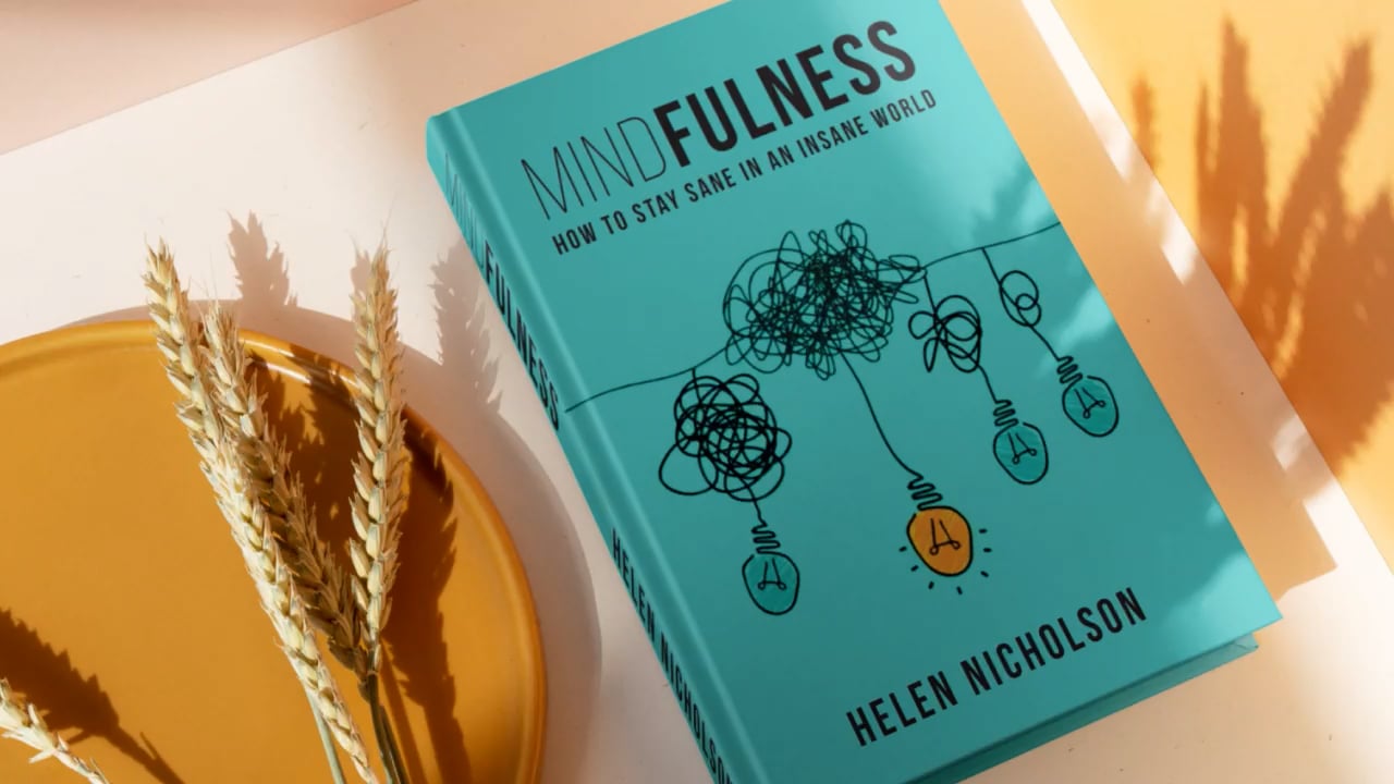 Mindfulness: How to Stay Sane in an Insane World on Vimeo