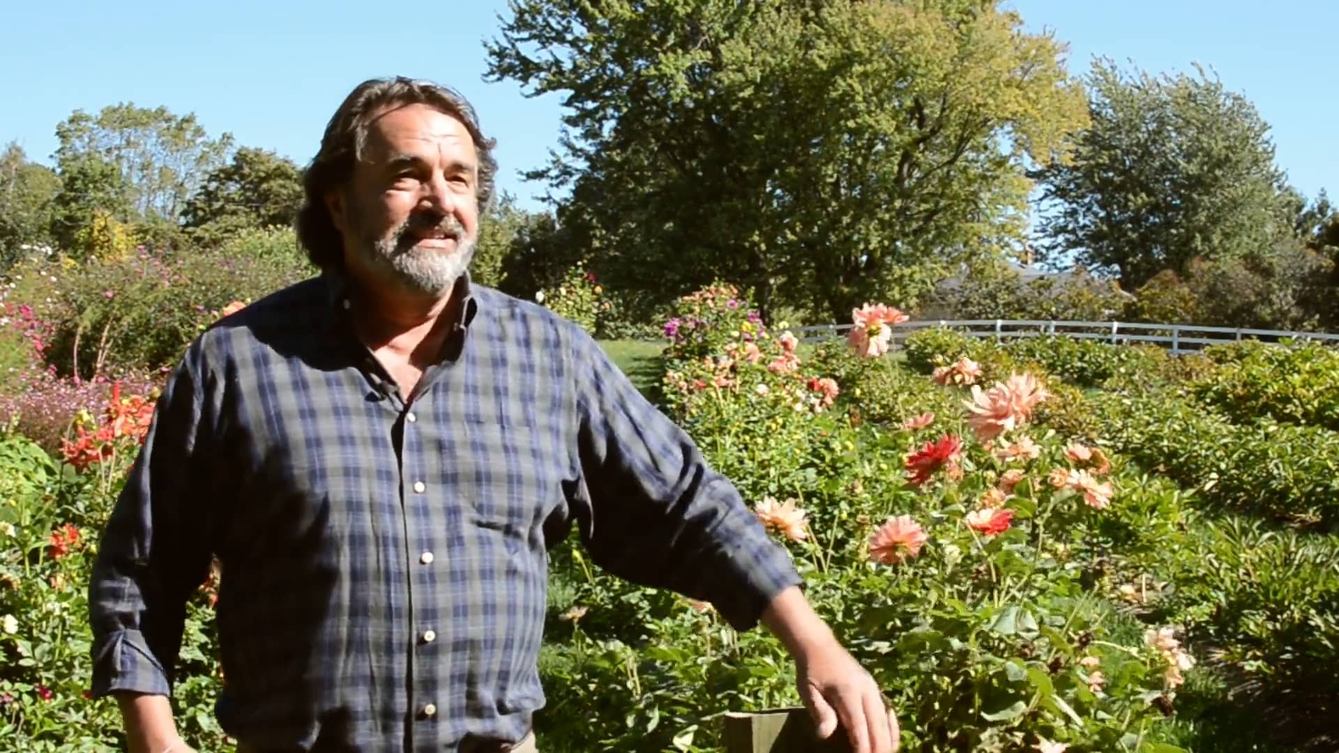 Insights from Doug Hoerr on Vimeo