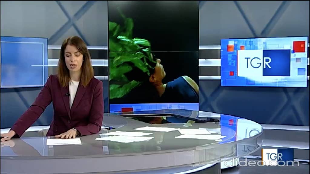 Servizio TGR Toscana on Vimeo