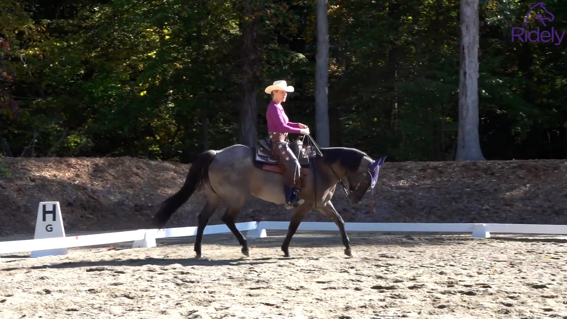 The Paperclip | Ridely