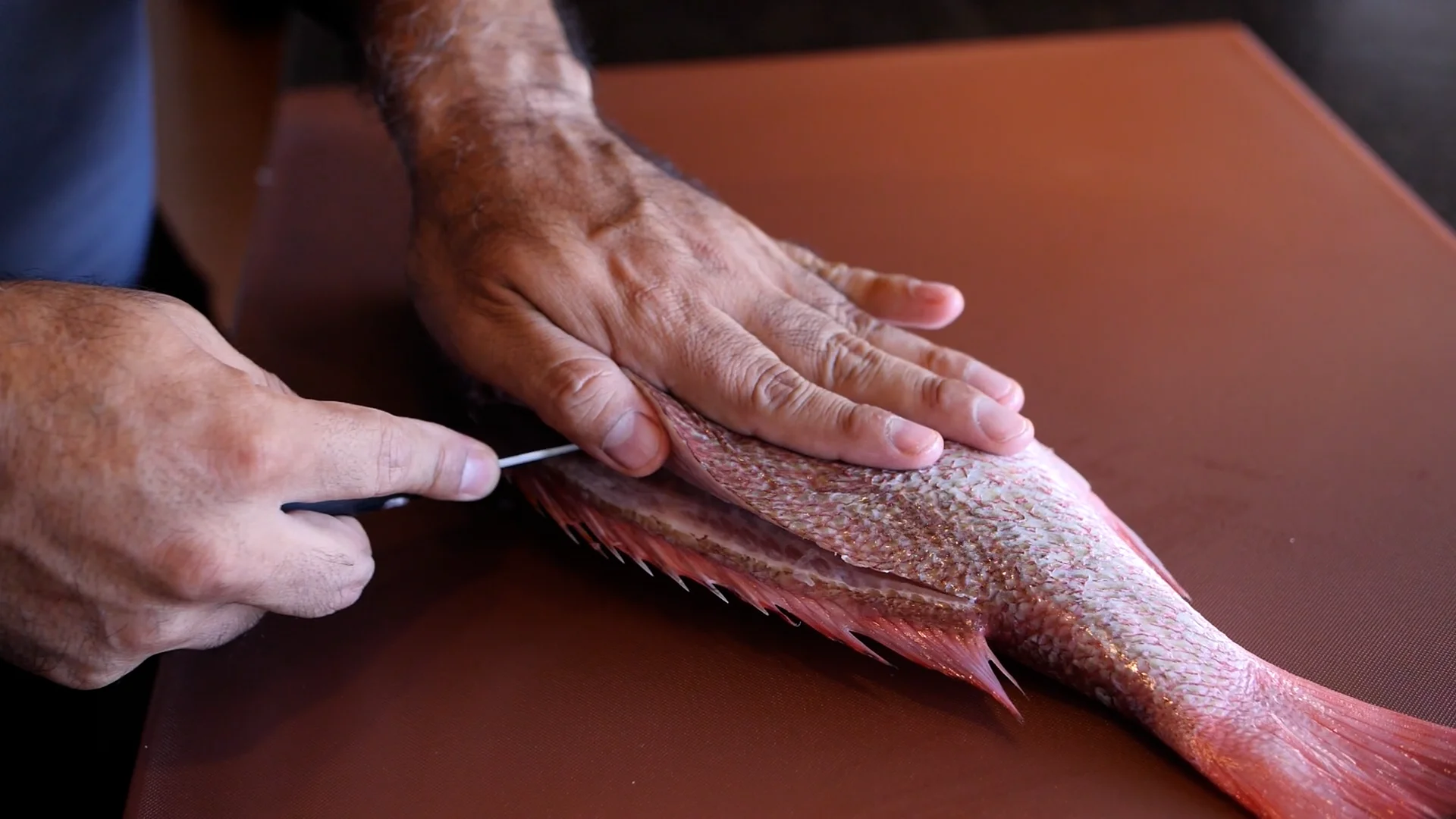 1 Minute Recipe | Codex Restaurant