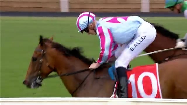 I Am Invincible - Stallion | Breednet