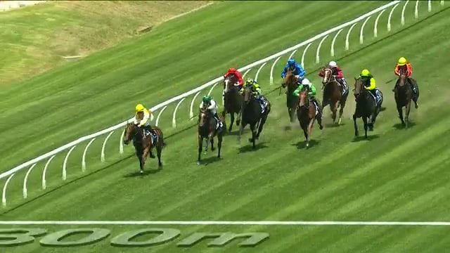 I Am Invincible - Stallion | Breednet