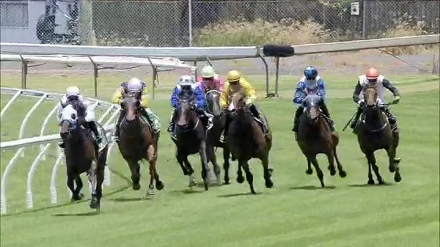 Sidestep - Stallion | Breednet
