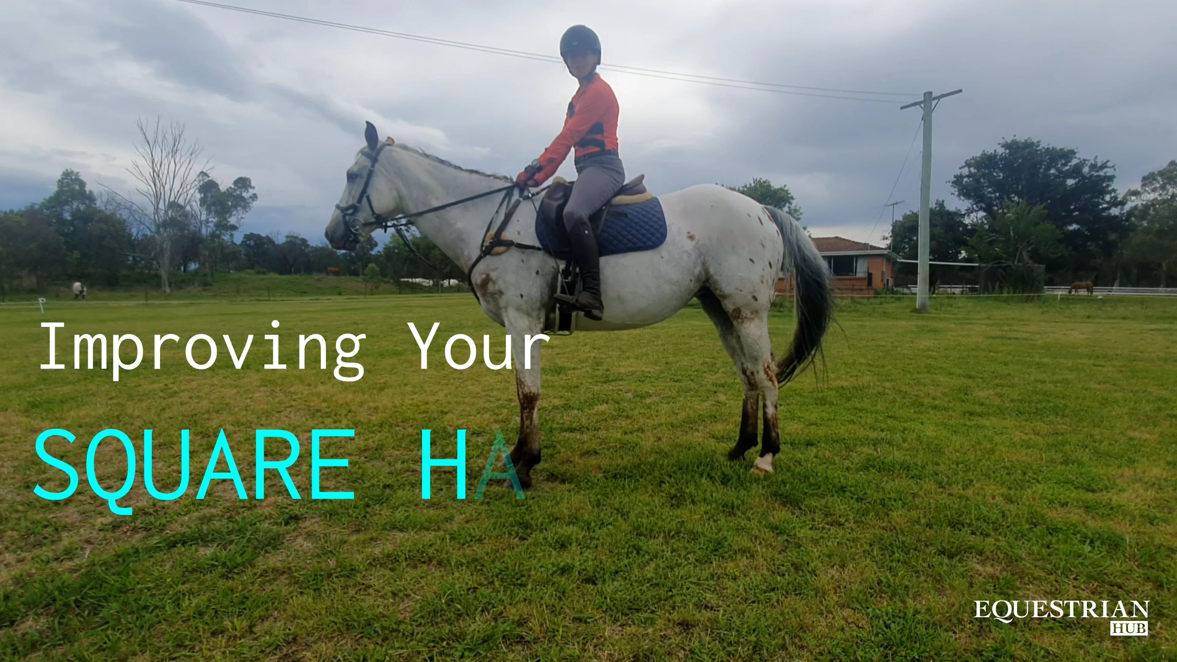 Improving your Square Halt.mp4 on Vimeo