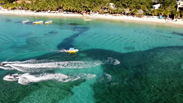 Blue Water, Roatan, Honduras. Free Stock Video - Pixabay