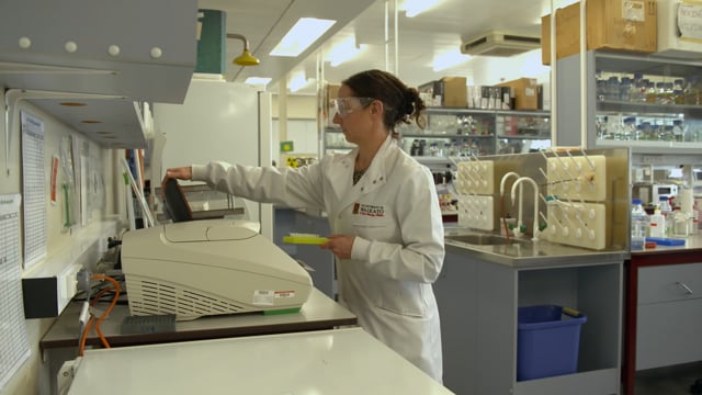 Finding extremophilic microorganisms — Science Learning Hub