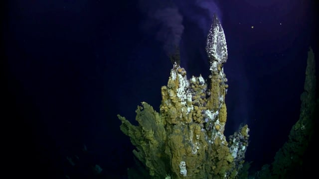 What is an extreme environment? — Science Learning Hub