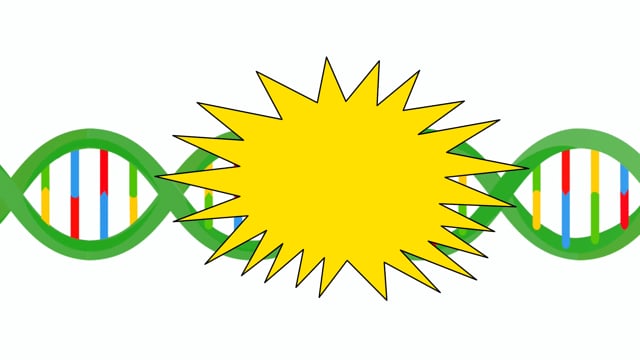 DNA damage — Science Learning Hub