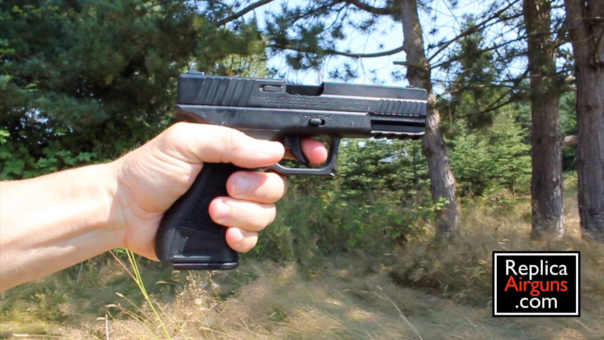 Umarex SA177 CO2 BB Airgun Field Test