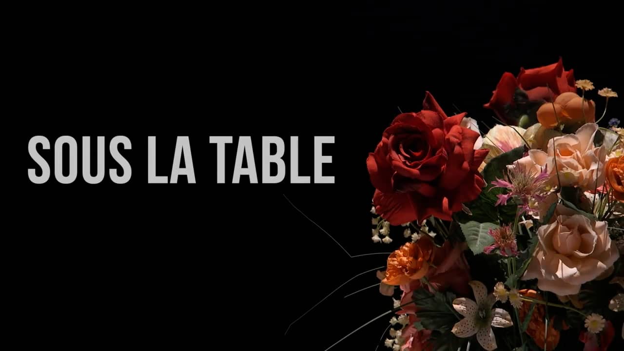 Sous la Table / Onder de Tafel - teaser on Vimeo