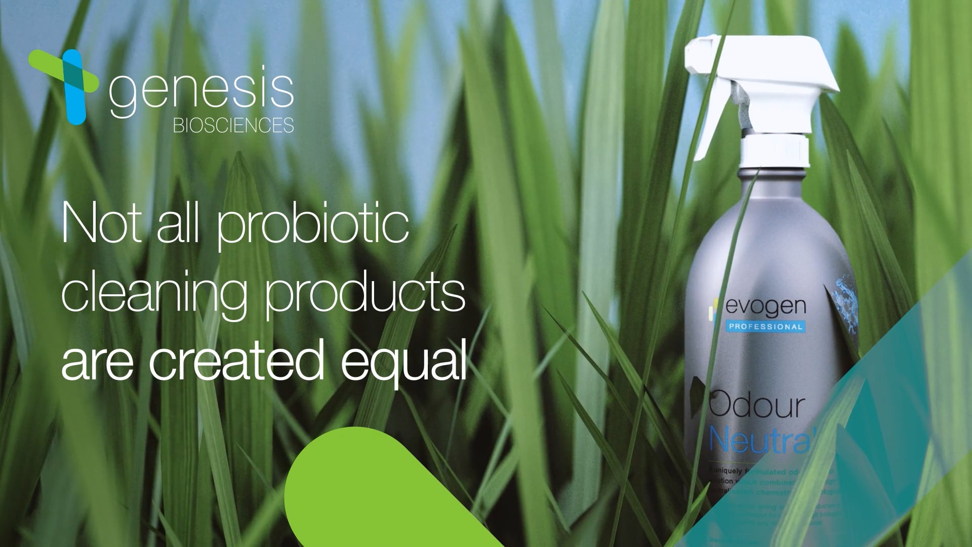 What Should I Look For in a Probiotic Cleaning Product? [INFOGRAPHIC ...